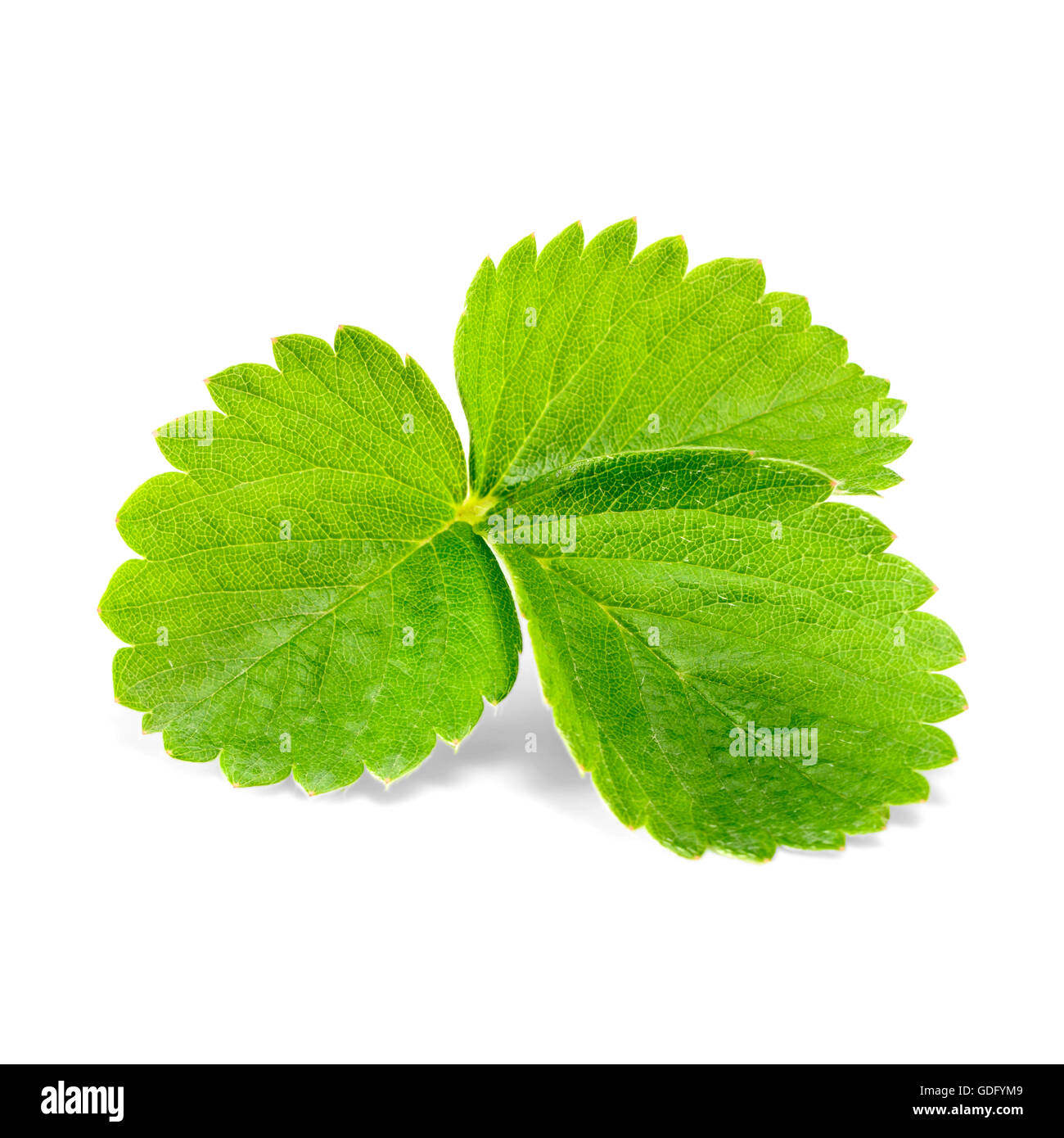 Strawberry colour is very beautiful hi-res stock photography and images ...