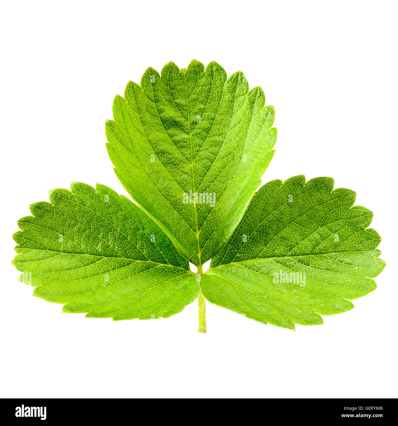 Strawberry texture Cut Out Stock Images & Pictures - Alamy