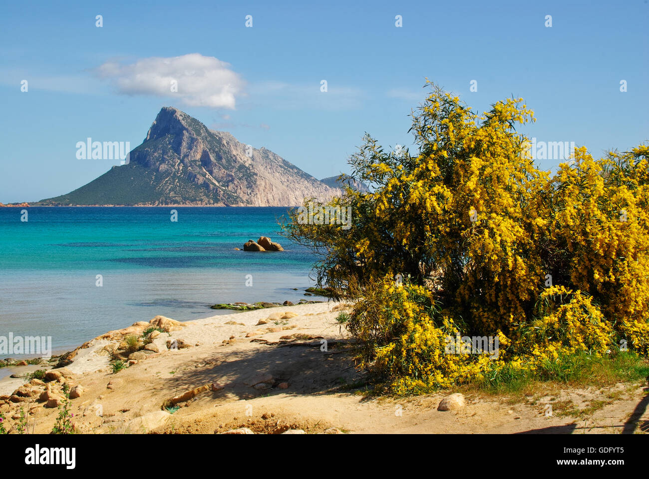 Tavolara hi-res stock photography and images - Alamy