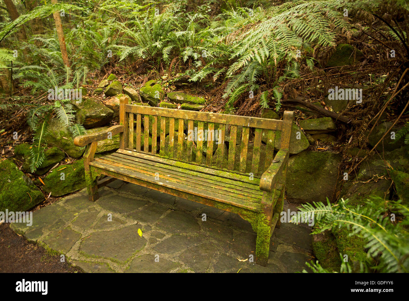 Lichen bench High Resolution Stock Photography and Images - Alamy