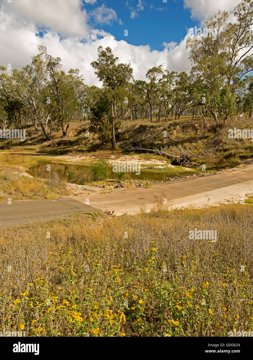 Maranoa River, merely a pool of water during drought, beside road with ...