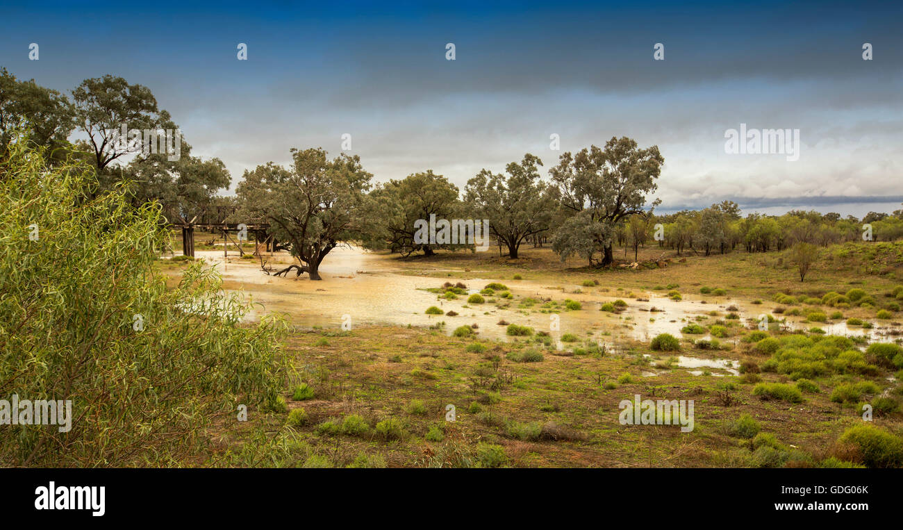 Panoramic view of Australian outback landscape after rain with trees ...
