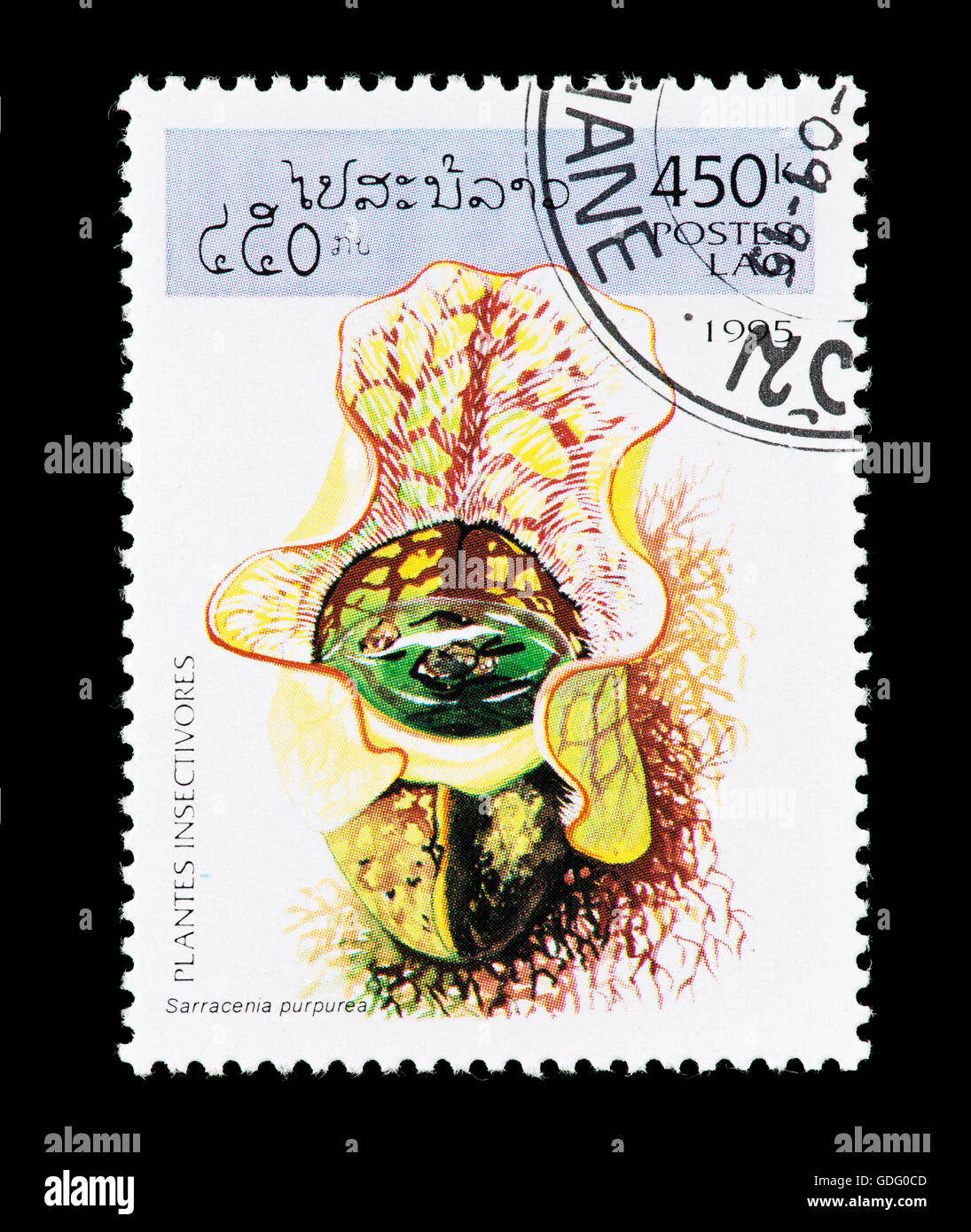 Postage stamp from Laos depicting a purple pitcher plant, northern ...