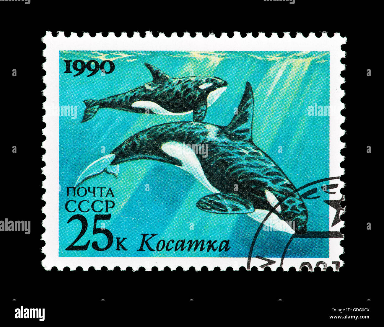 Ocrca hi-res stock photography and images - Alamy