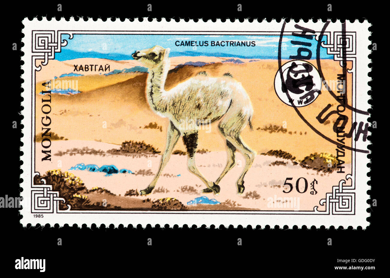 Mongolia Camel Stamp High Resolution Stock Photography and Images - Alamy