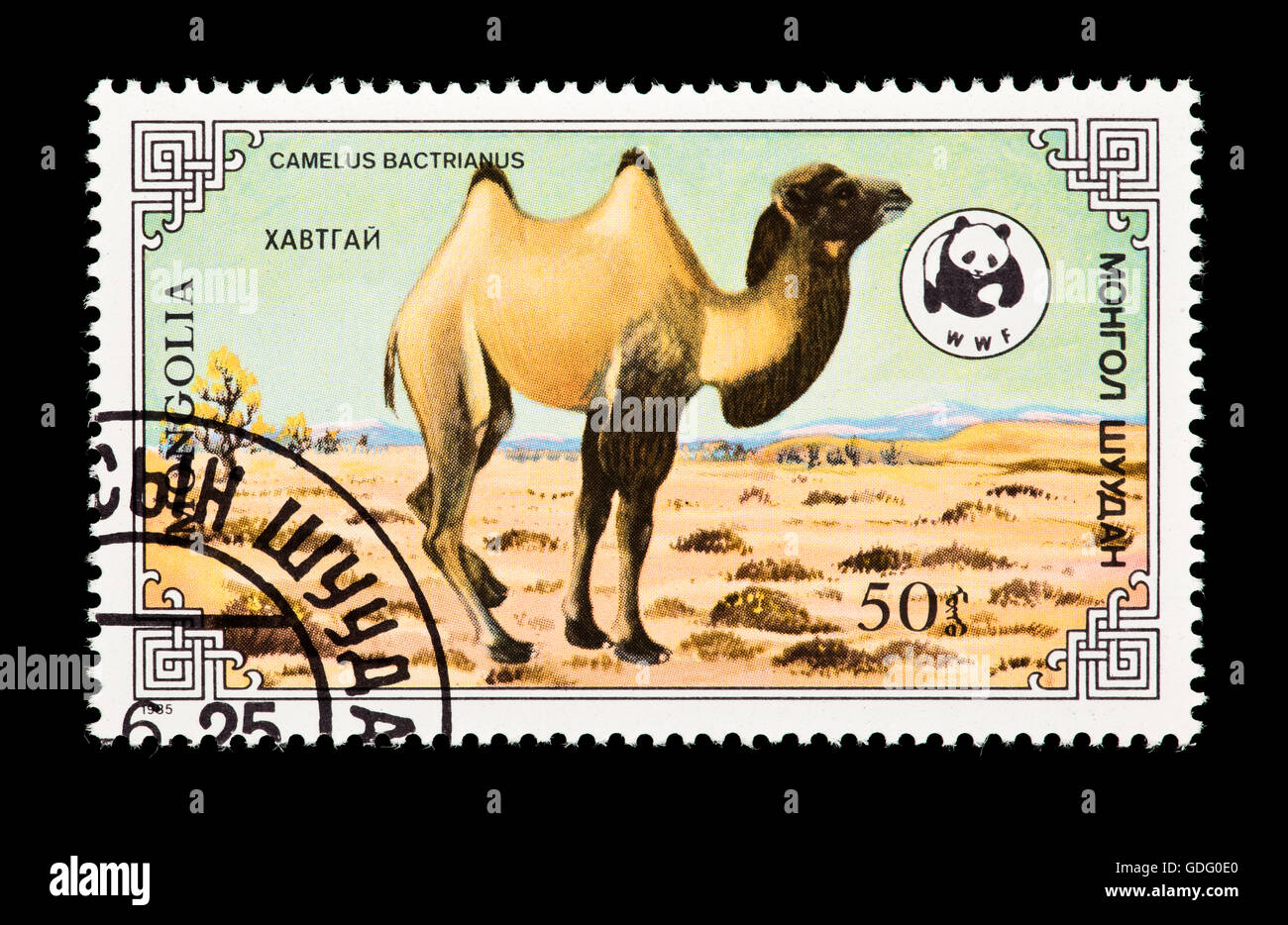 Mongolia Camel Stamp High Resolution Stock Photography and Images - Alamy