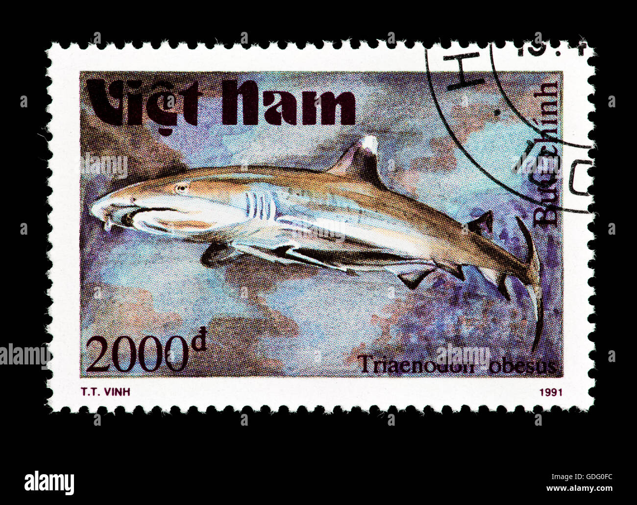 Postage stamp from Vietnam depicting a whitetip reef shark (Triaenodon ...