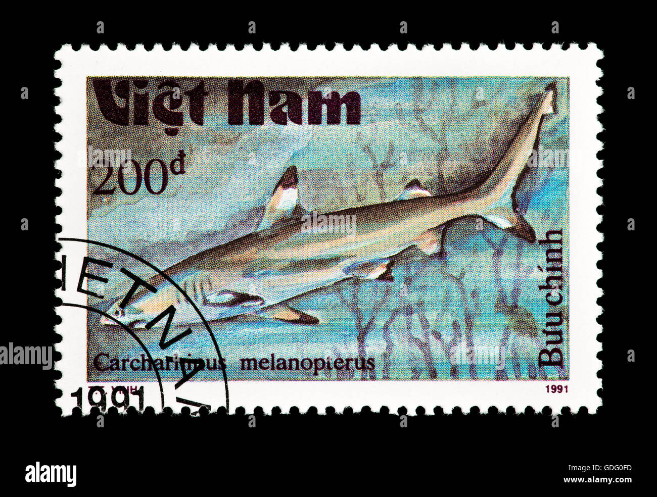 Postage stamp from Vietnam depicting a blacktip reef shark ...