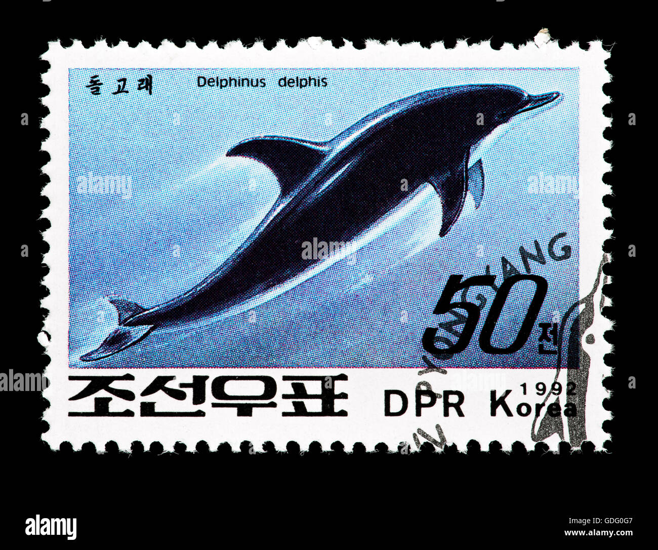Postage stamp from NOrth Korea depicting a short-beaked common dolphin ...