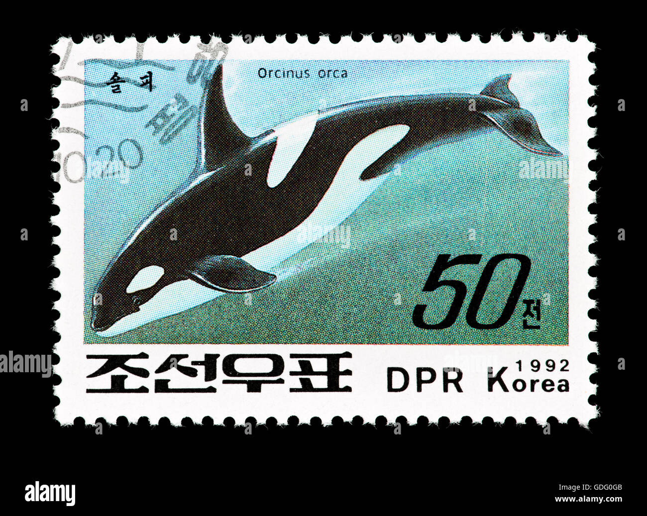 Postage stamp from North Korea depicting a killer whale (Orcinus orca ...