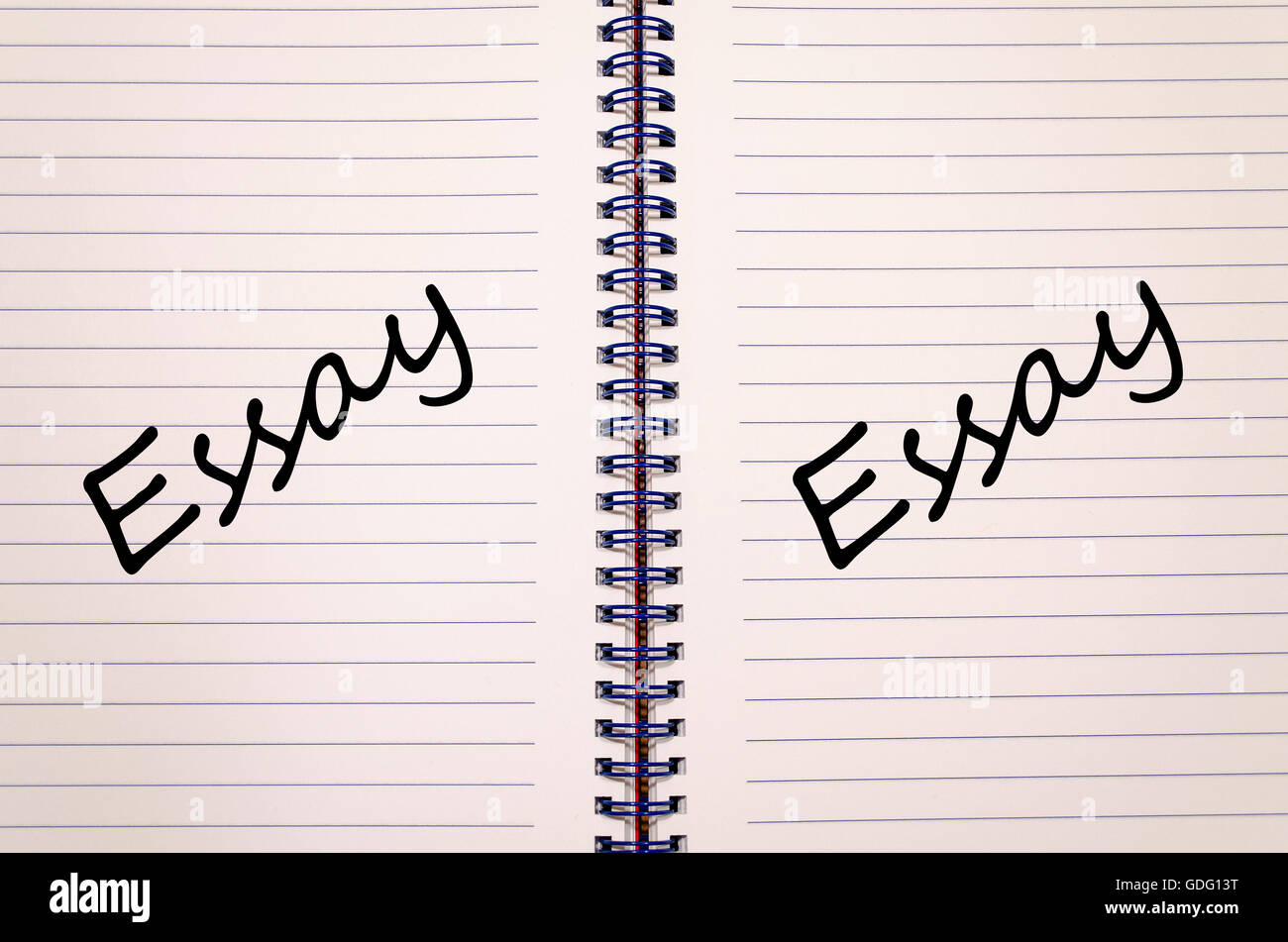 Essay text concept write on notebook Stock Photo - Alamy