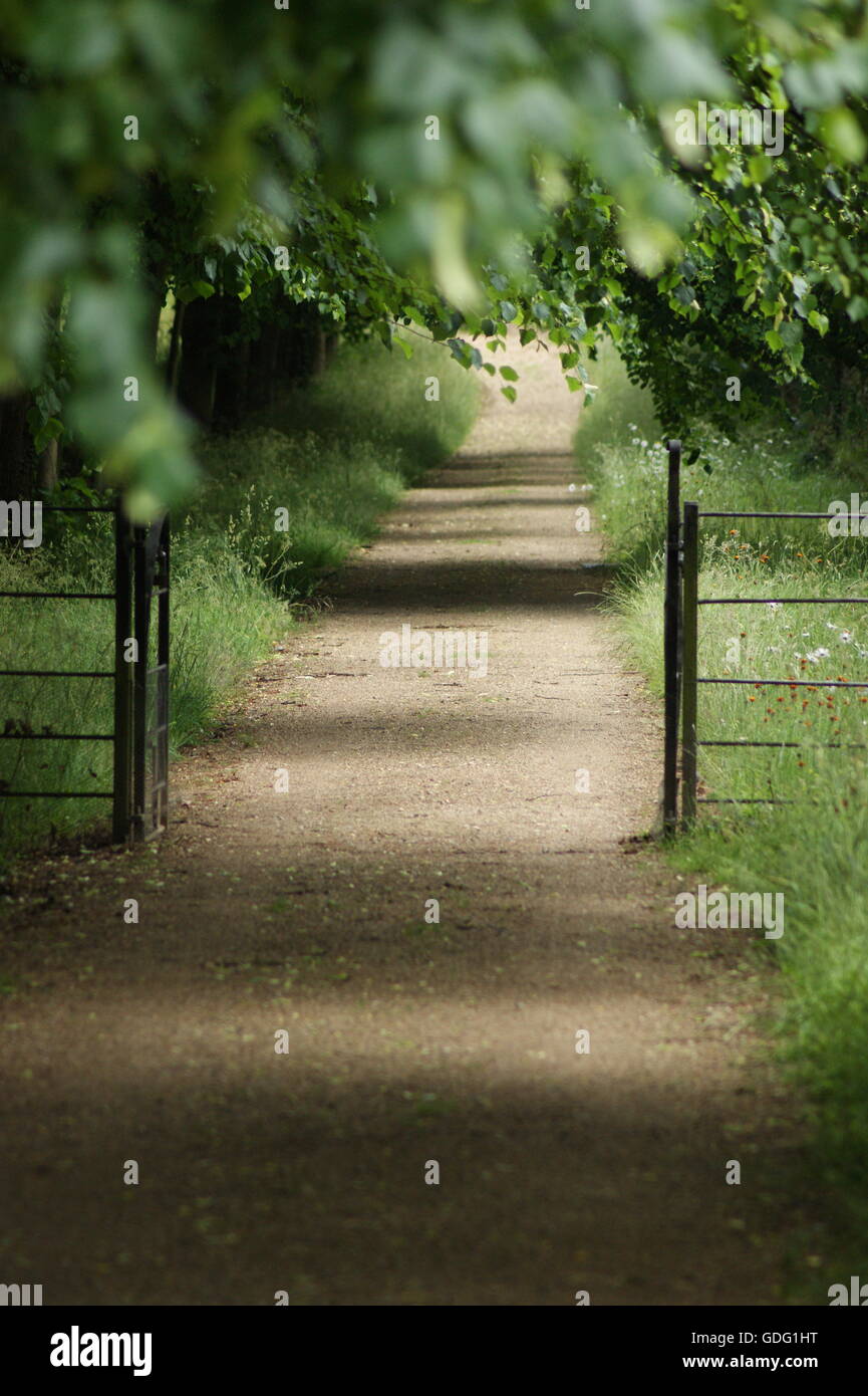 A gate way on a gravel path under the trees Stock Photo - Alamy