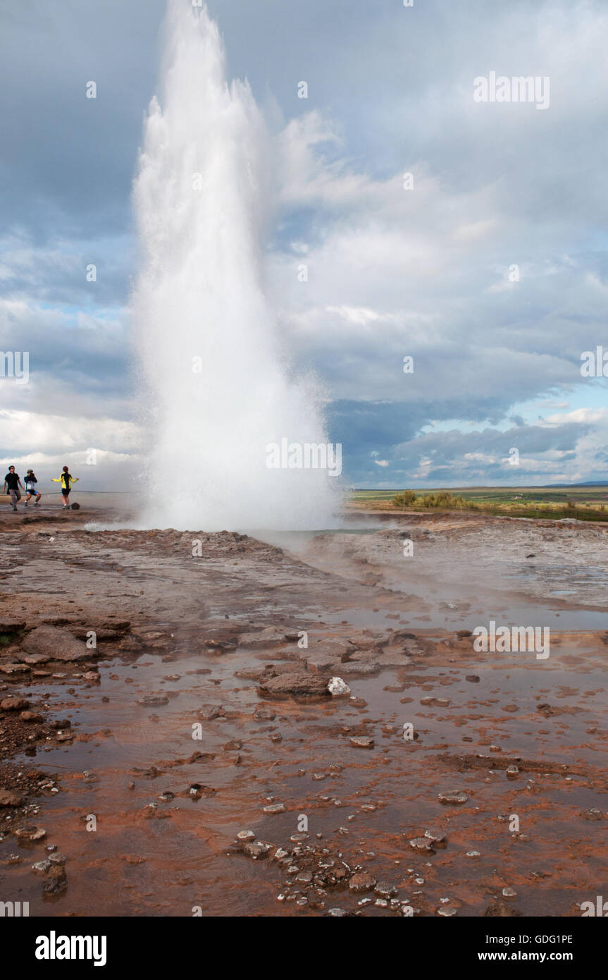 Iceland: the eruption of the Great Geyser, in the Geysir area, home to ...
