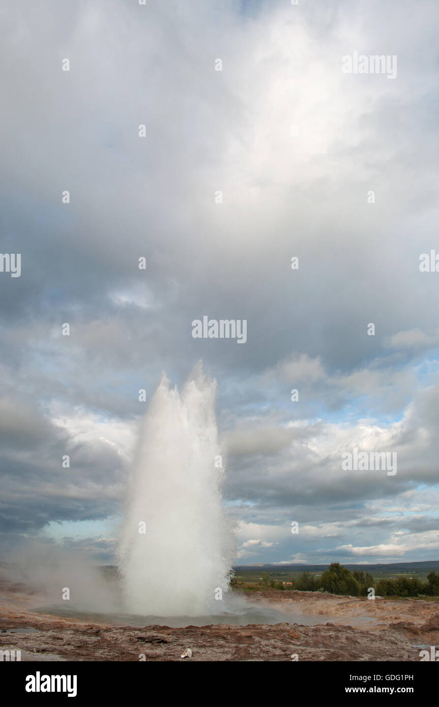Iceland: the eruption of the Great Geyser, in the Geysir area, home to ...
