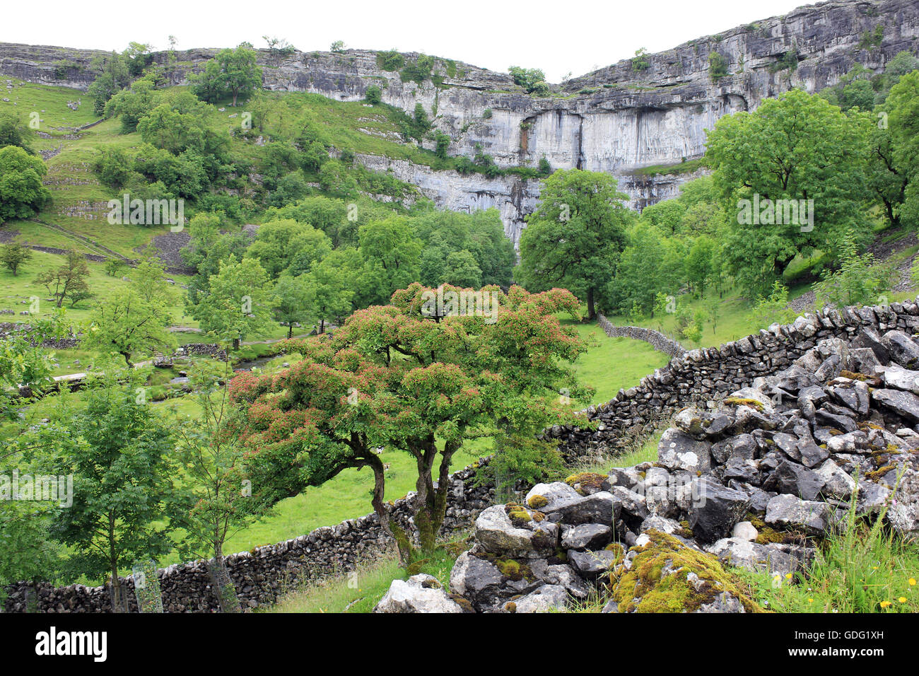 Malham Cove, North Yorkshire Stock Photo - Alamy