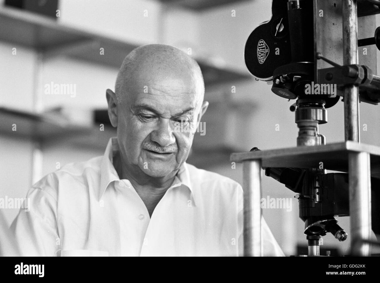 Roman Vishniac working in his lab, 1961 Stock Photo - Alamy