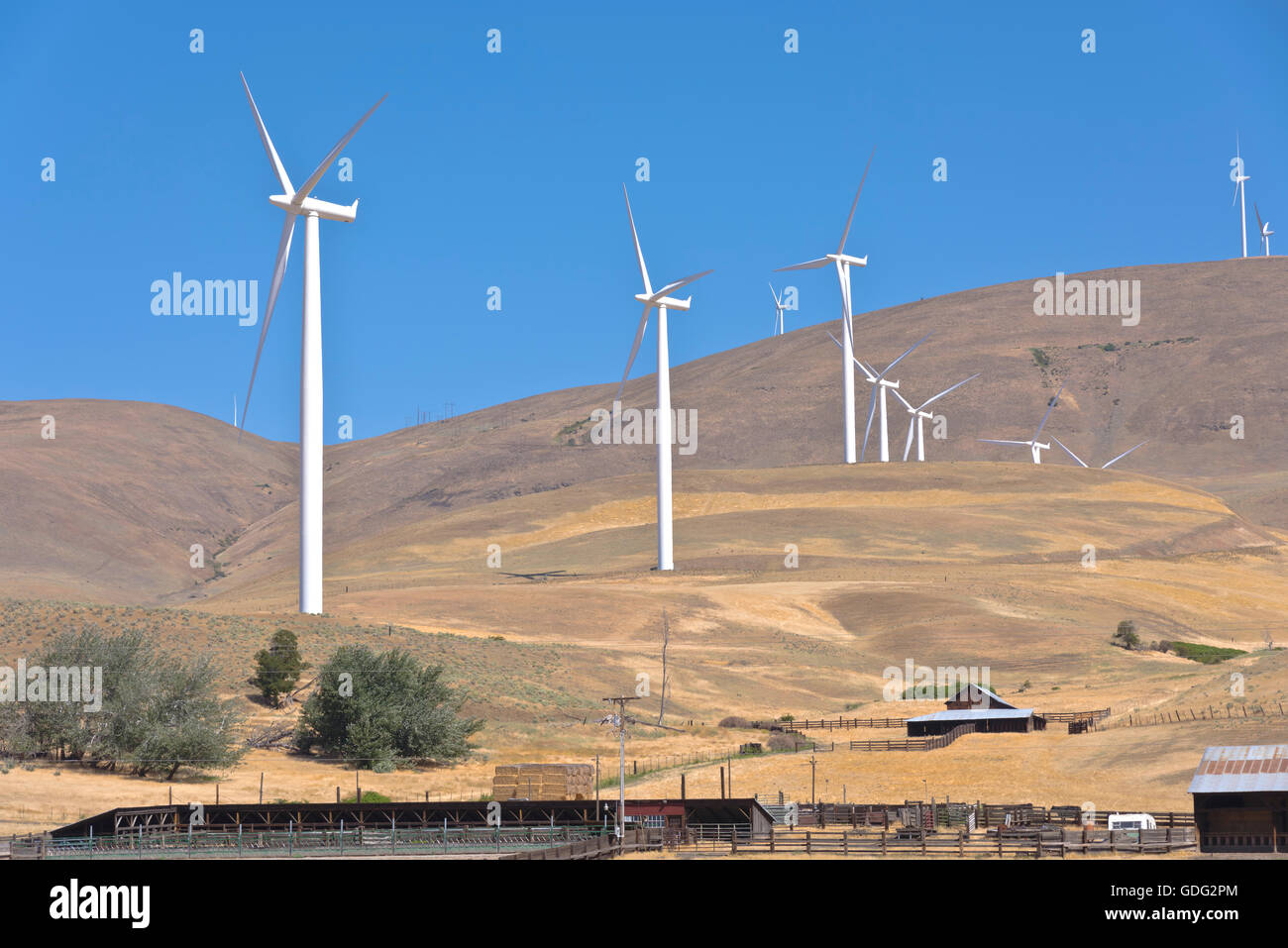 Wind energy on farm hi-res stock photography and images - Alamy