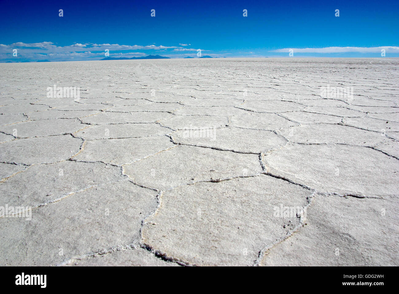 Desiccation cracks on the Uyuni salt flats in Bolivia Stock Photo - Alamy