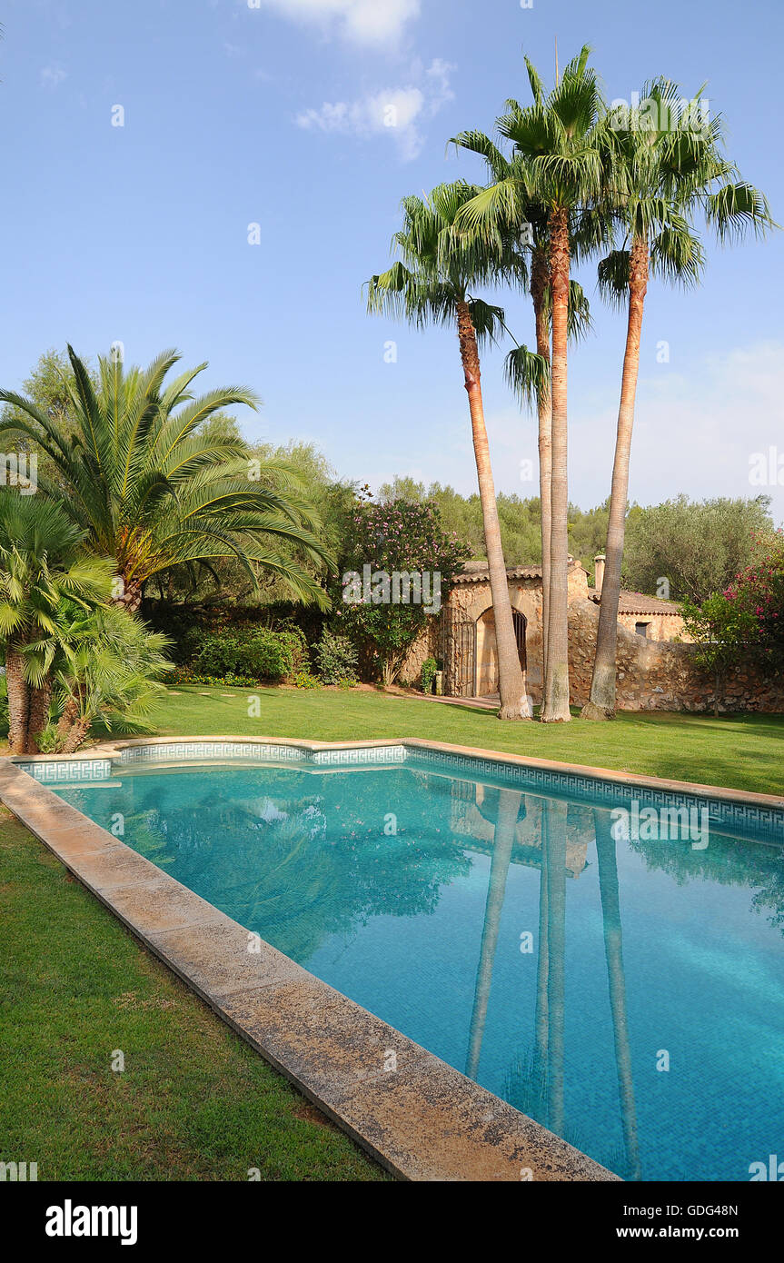 Pool, Palm Trees, Garden Stock Photo - Alamy