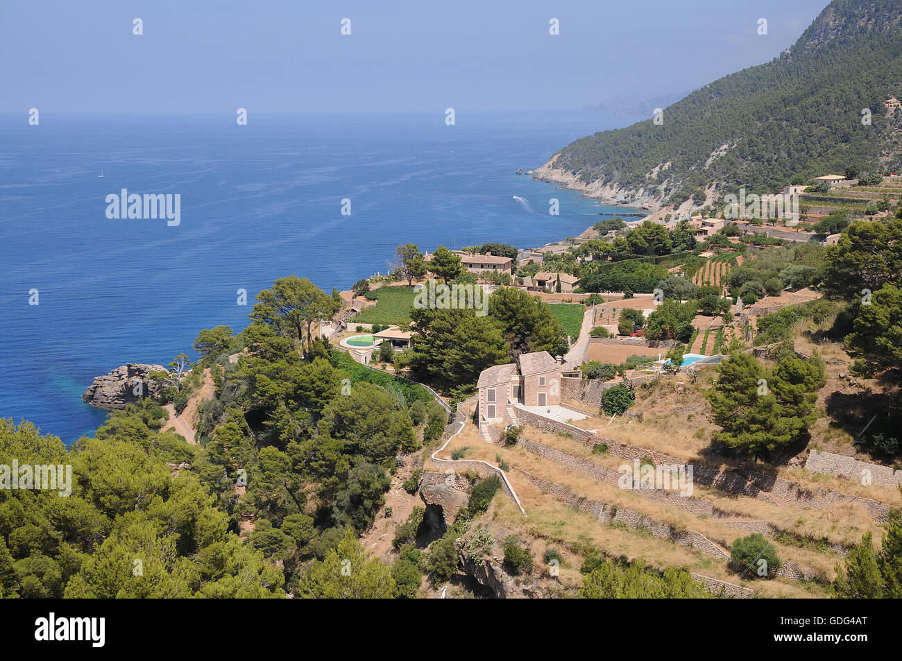 Majorca, Mallorca, Balearic Islands, Olive Trees, Viewpoint, Terrace ...