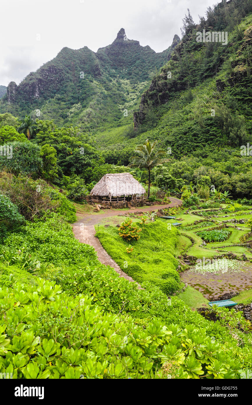 Limahuli garden preserve national tropical hi-res stock photography and ...