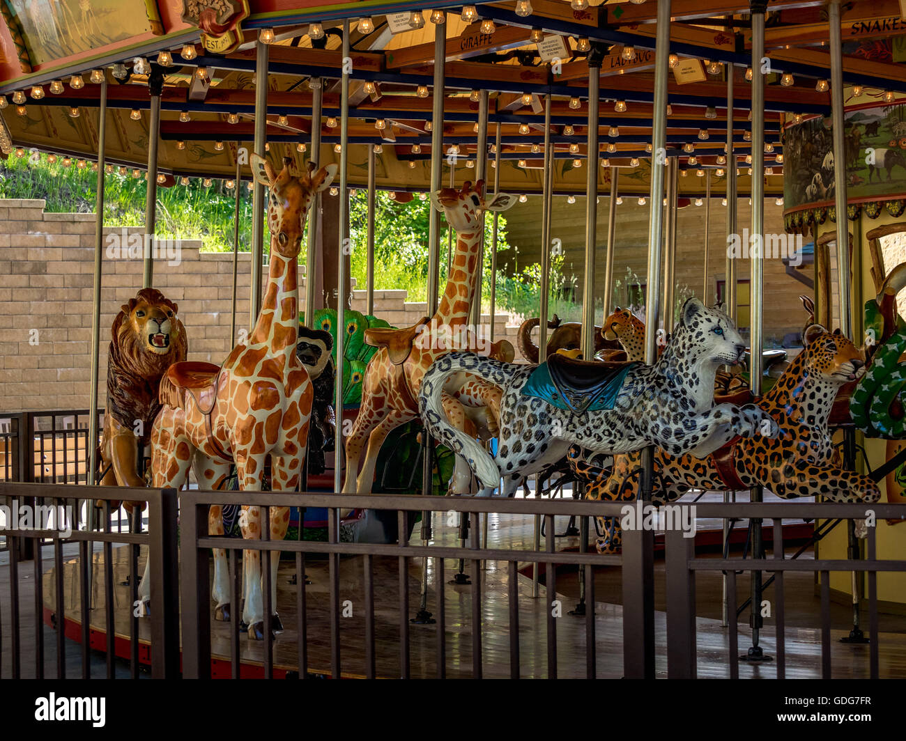 Animalride hi-res stock photography and images - Alamy