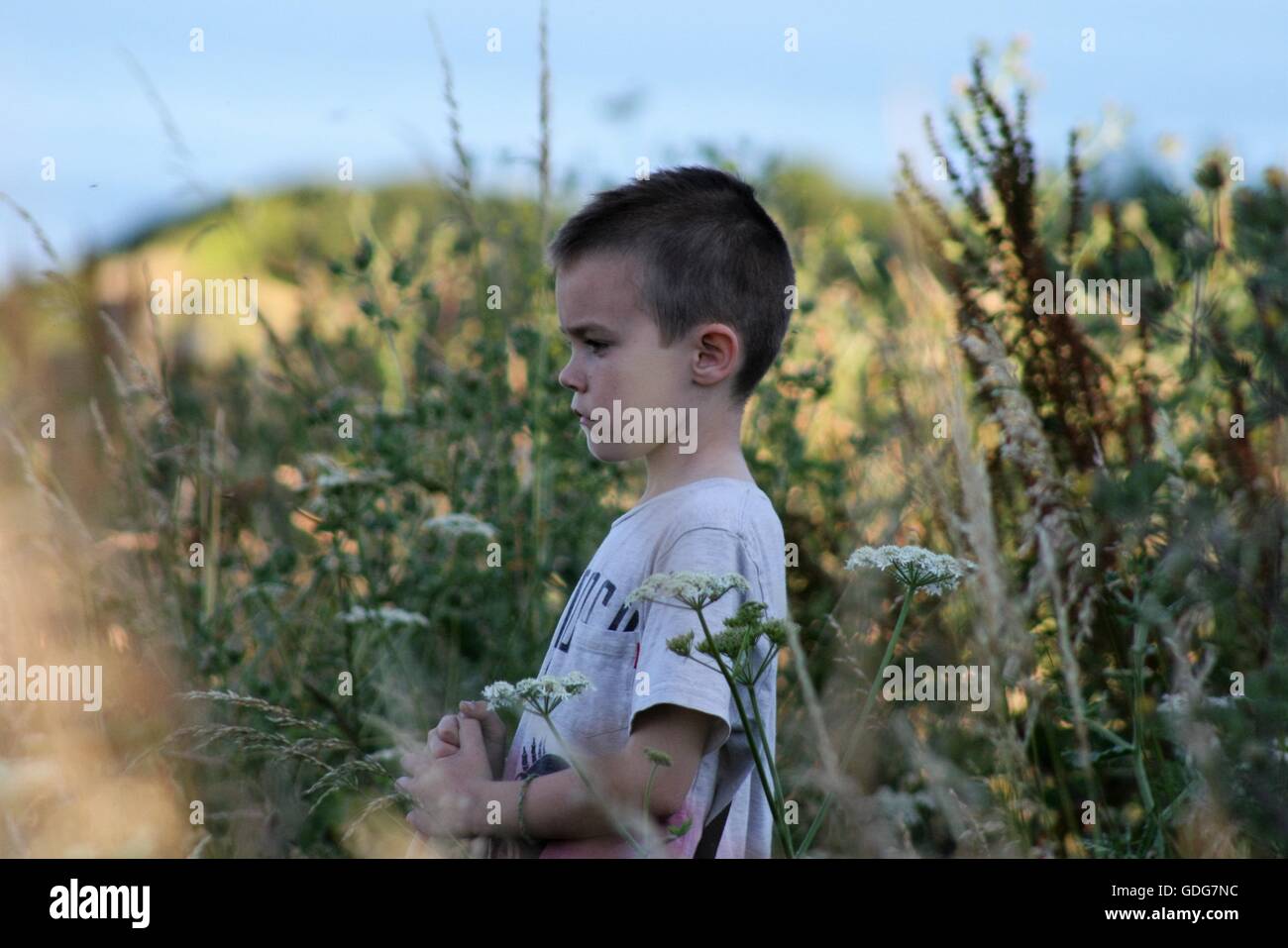 boy in nature Stock Photo - Alamy