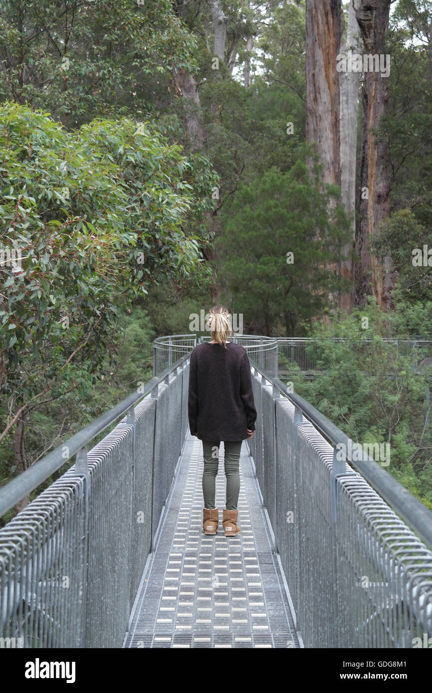 Valley of the Giants tree top walk, Walpole-Nornalup National Park near ...