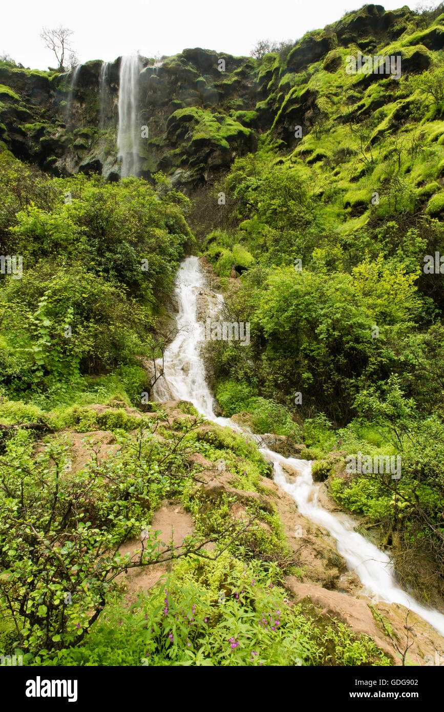 Waterfall in Johab, Salalah, Oman. Khareef season monsoon with heavy ...