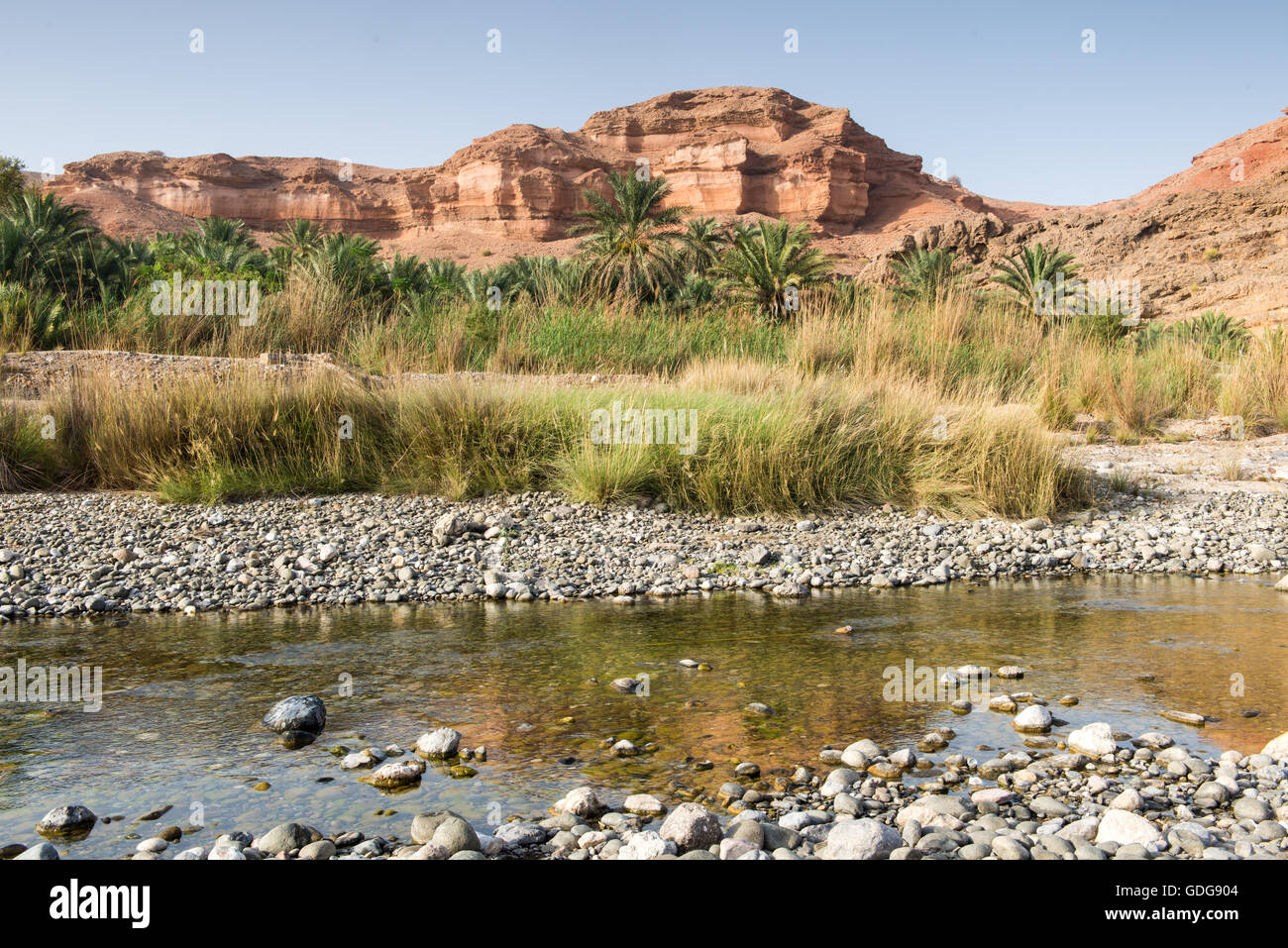 Muzare hi-res stock photography and images - Alamy