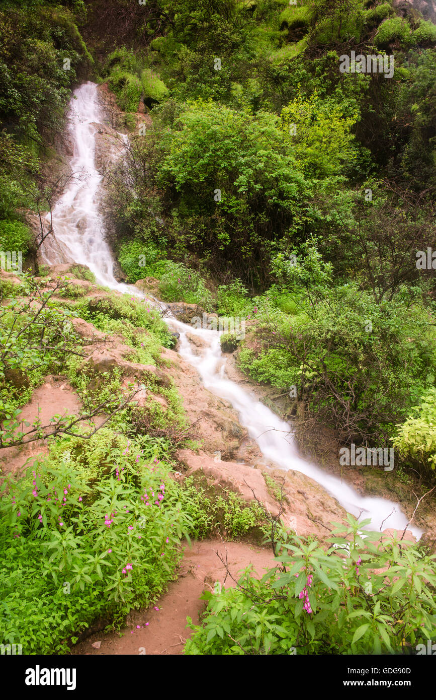 Waterfall in Johab, Salalah, Oman. Khareef season monsoon with heavy ...
