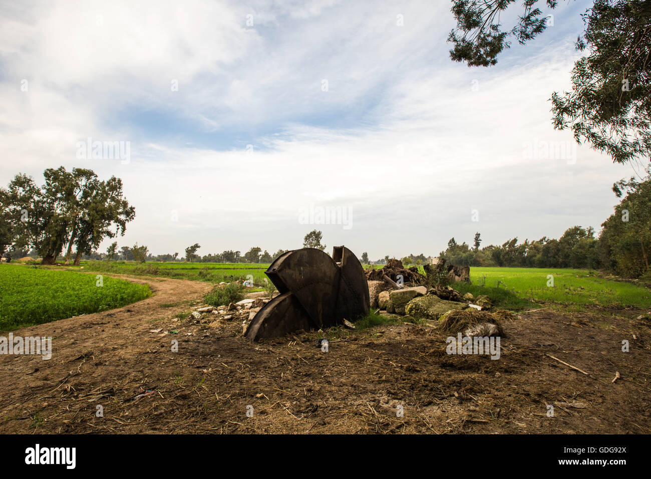 A landscape scene in Kafr al Sheikh governorate, Egypt Stock Photo - Alamy