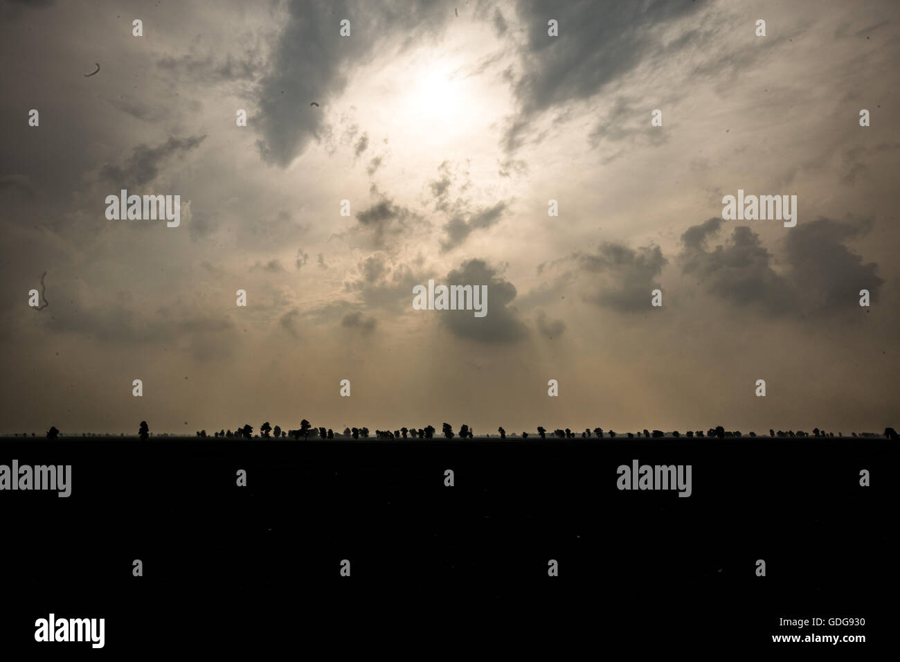 A landscape scene in Kafr al Sheikh governorate, Egypt Stock Photo - Alamy