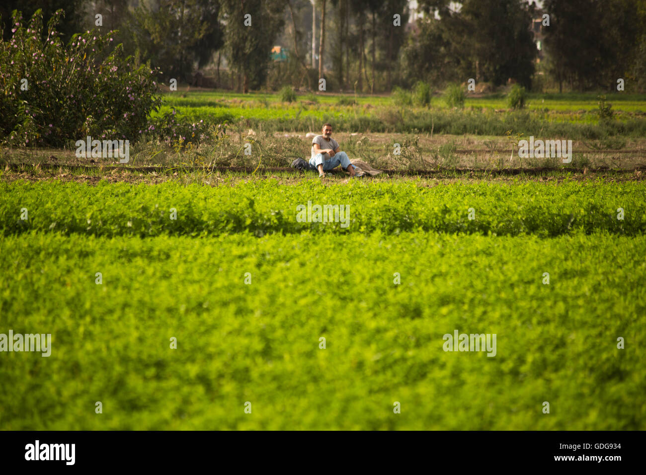 A farmer resting in a green field Stock Photo - Alamy