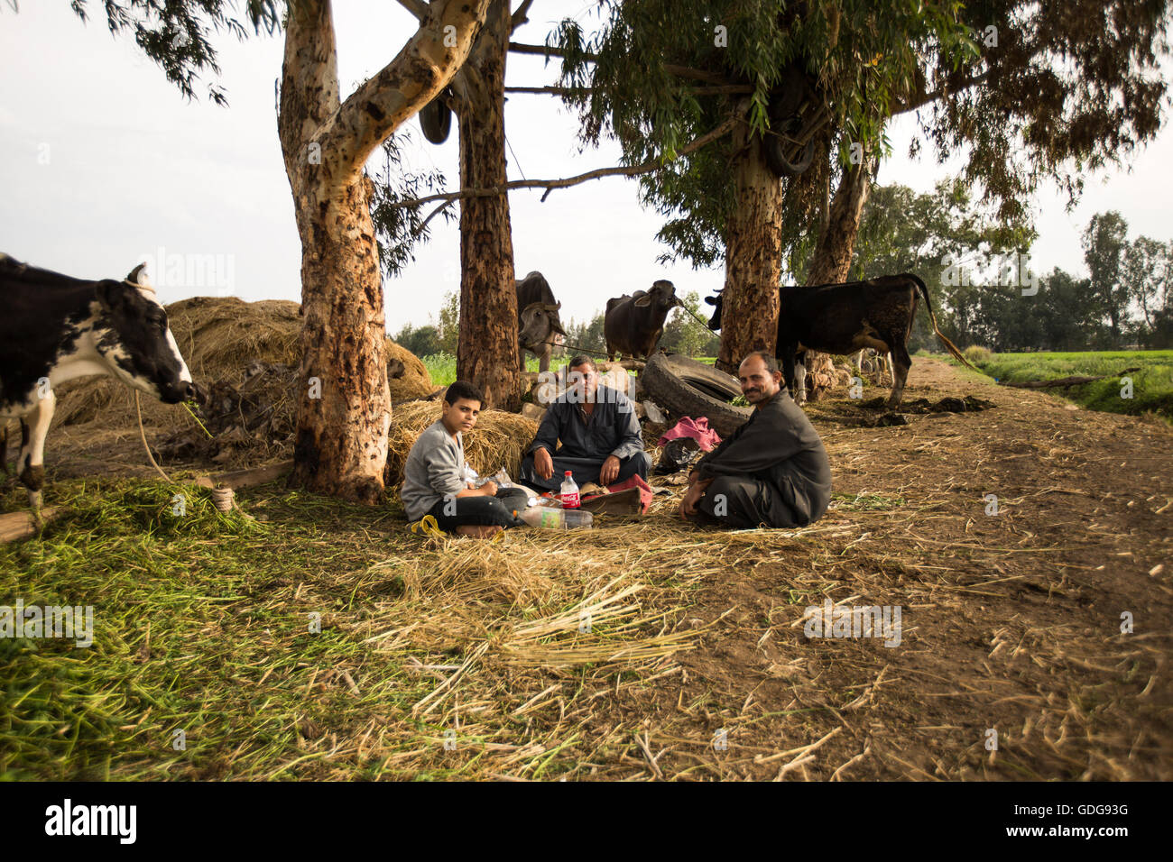 Farmers resting next to their field Stock Photo - Alamy