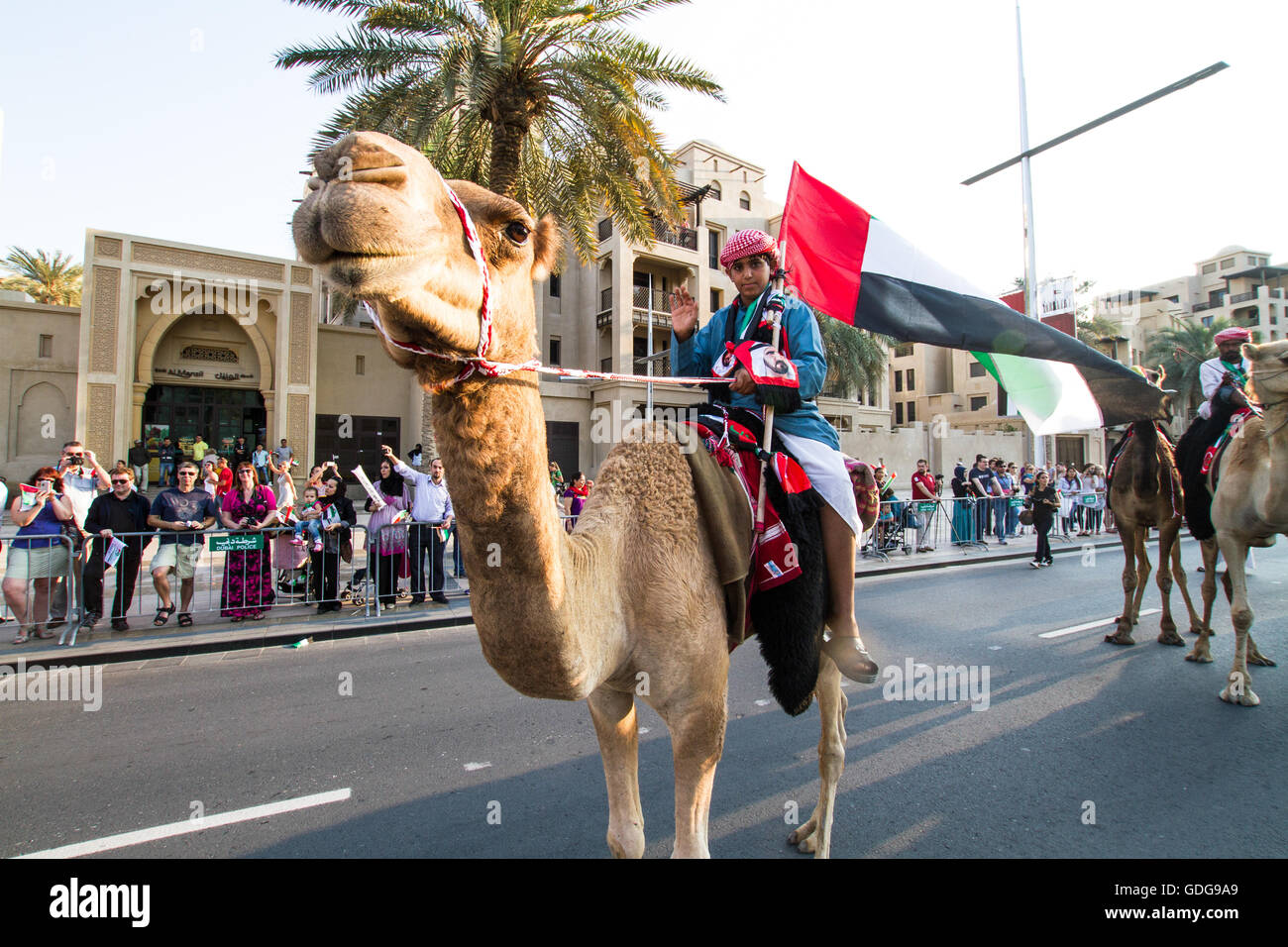 Kid riding camel, holding UAE flag, during UAE National Day Parade ...