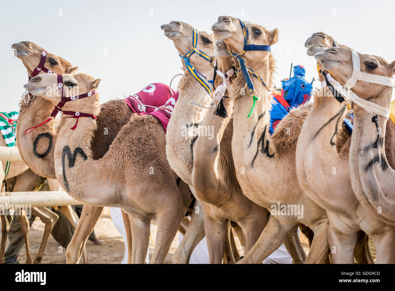 Win prizes hi-res stock photography and images - Alamy