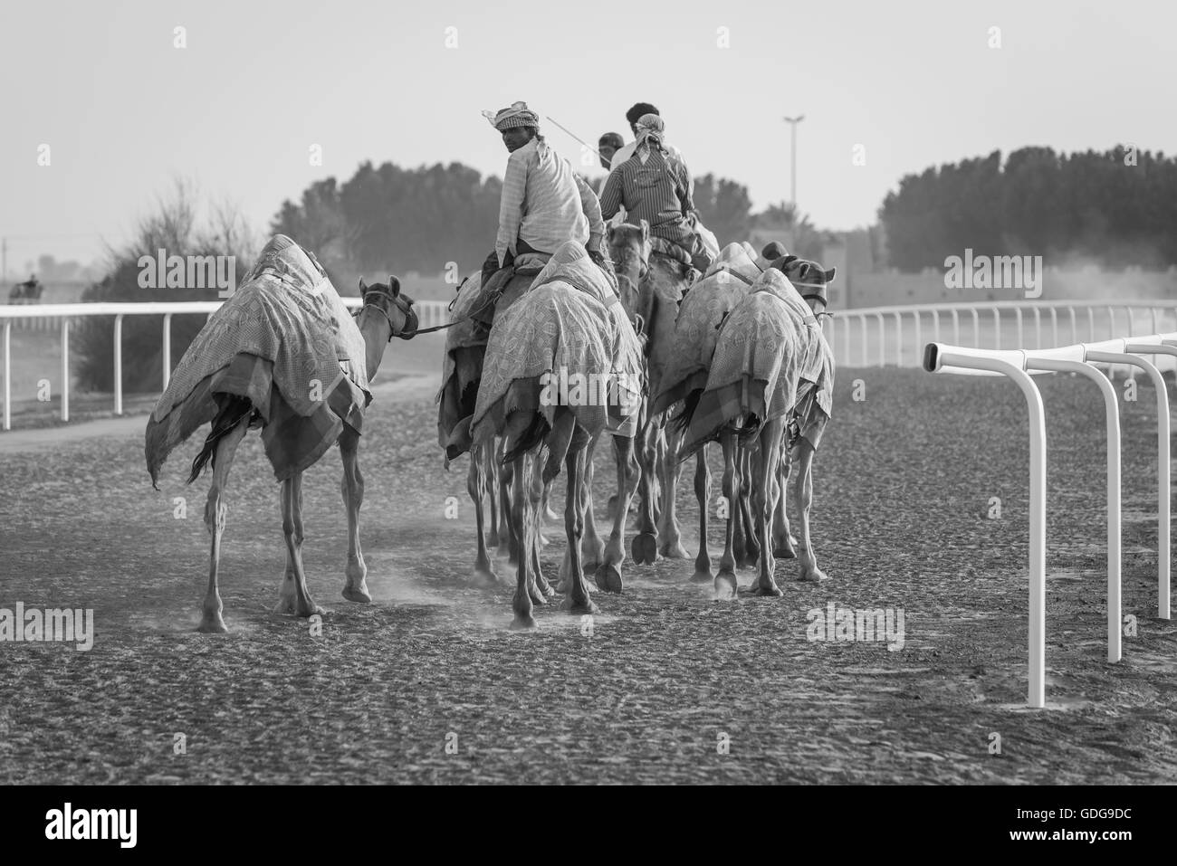 Race track stables Black and White Stock Photos & Images - Alamy