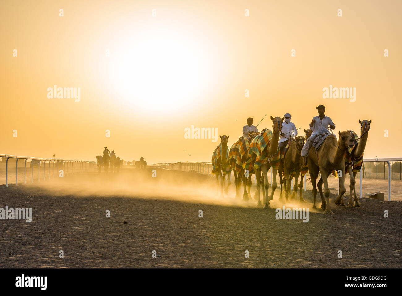 Al marmoum dubai hi-res stock photography and images - Alamy