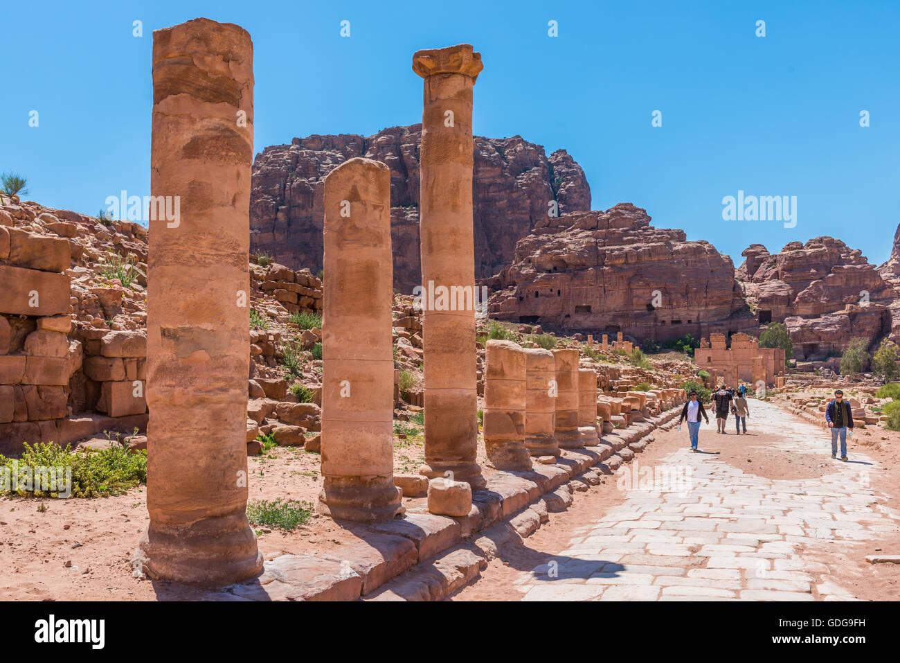 Colonade Street in Petra, Jordan Stock Photo - Alamy