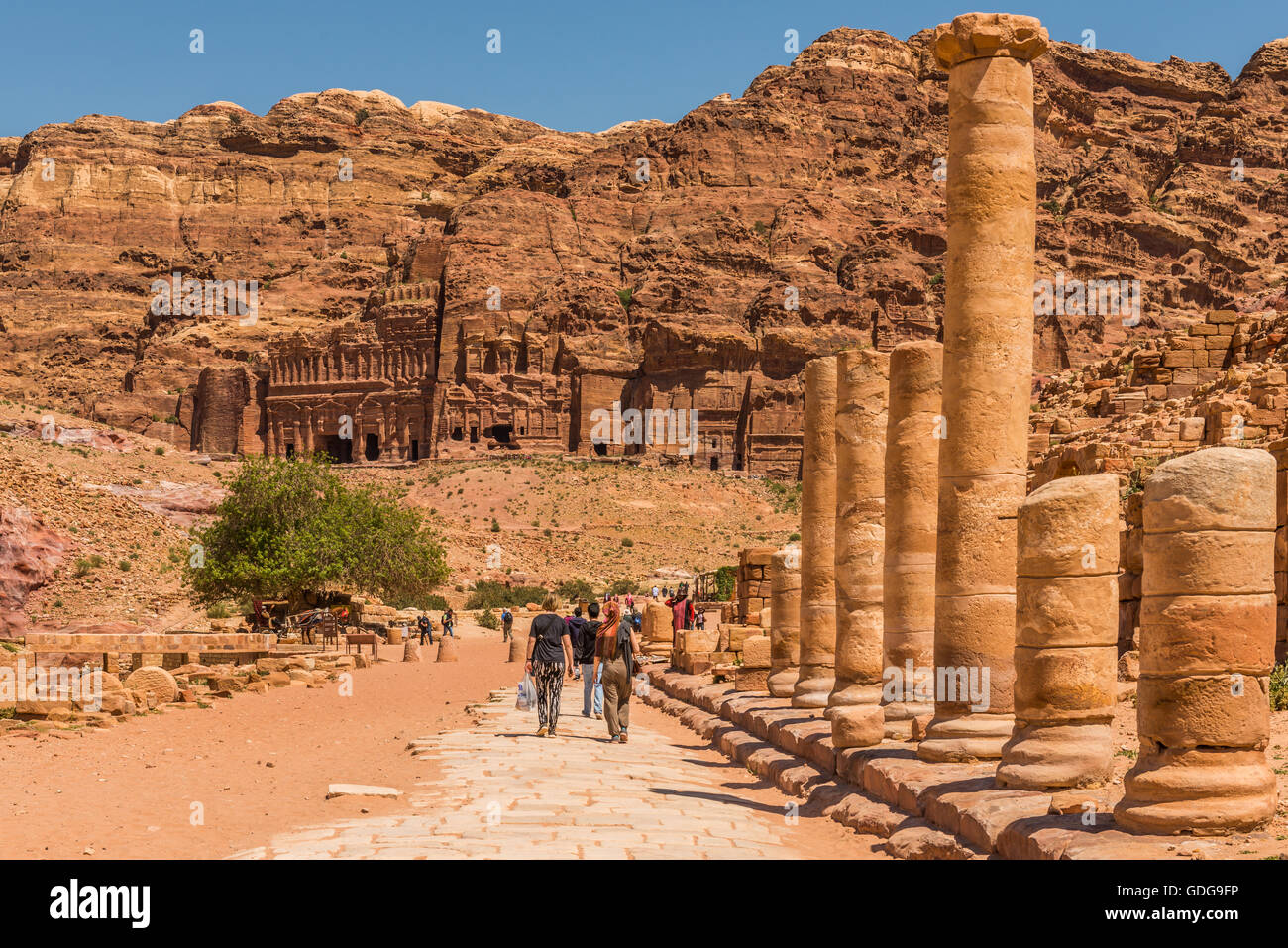 Colonade Street in Petra, Jordan Stock Photo - Alamy