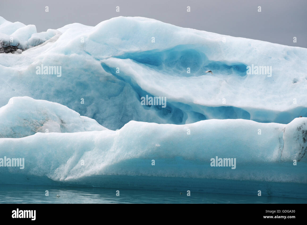 Iceland, Europe: details of the ice and the floating icebergs in the ...