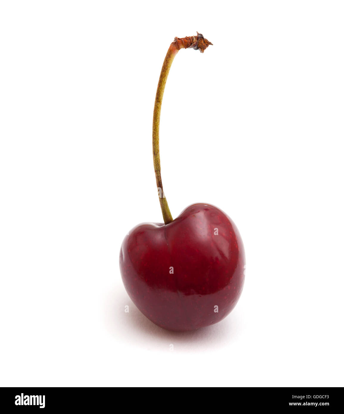 dark red cherry isolated on white background Stock Photo - Alamy