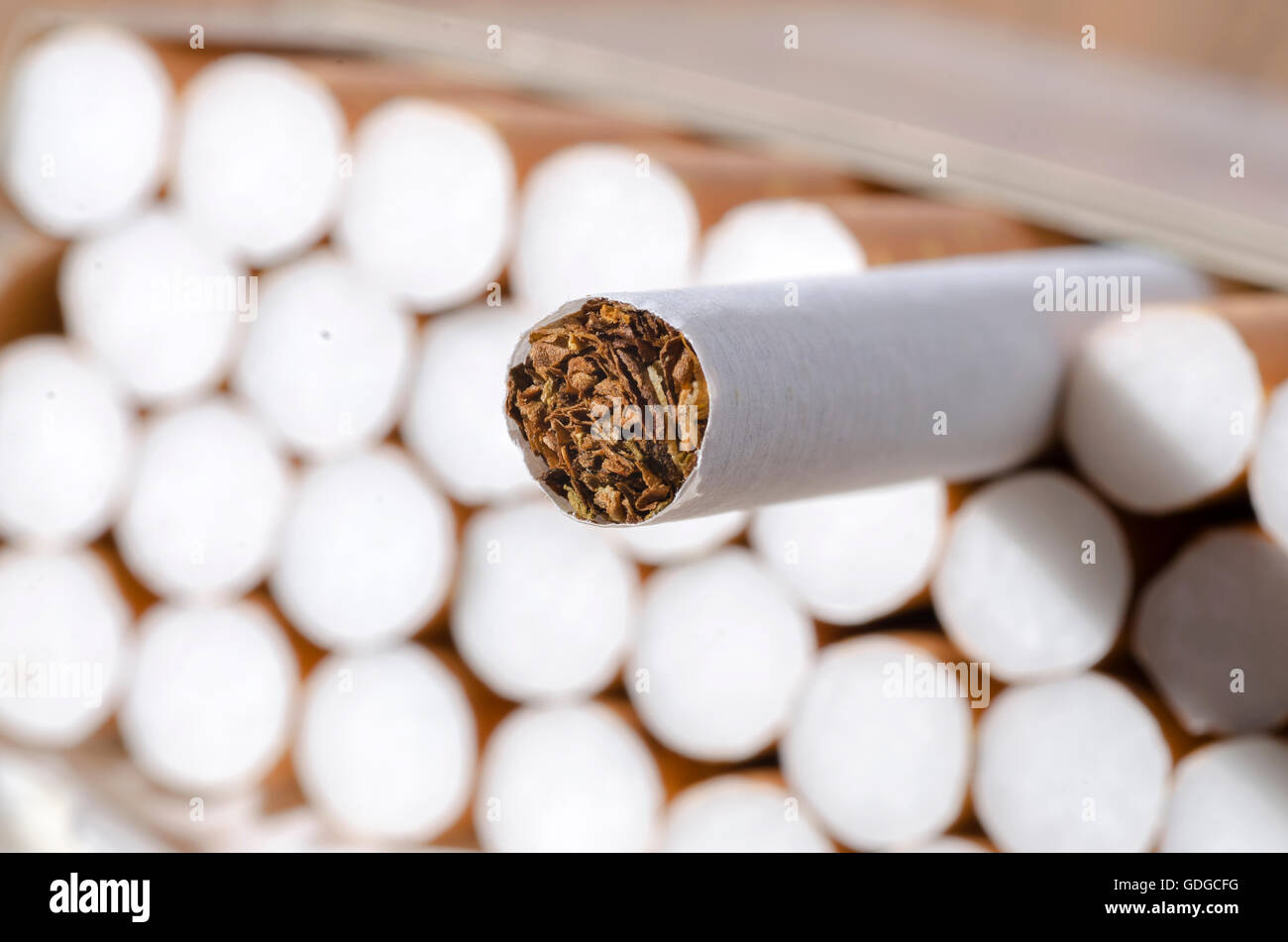 Cigarettes in a pack, Tobacco in cigarettes close up Stock Photo - Alamy