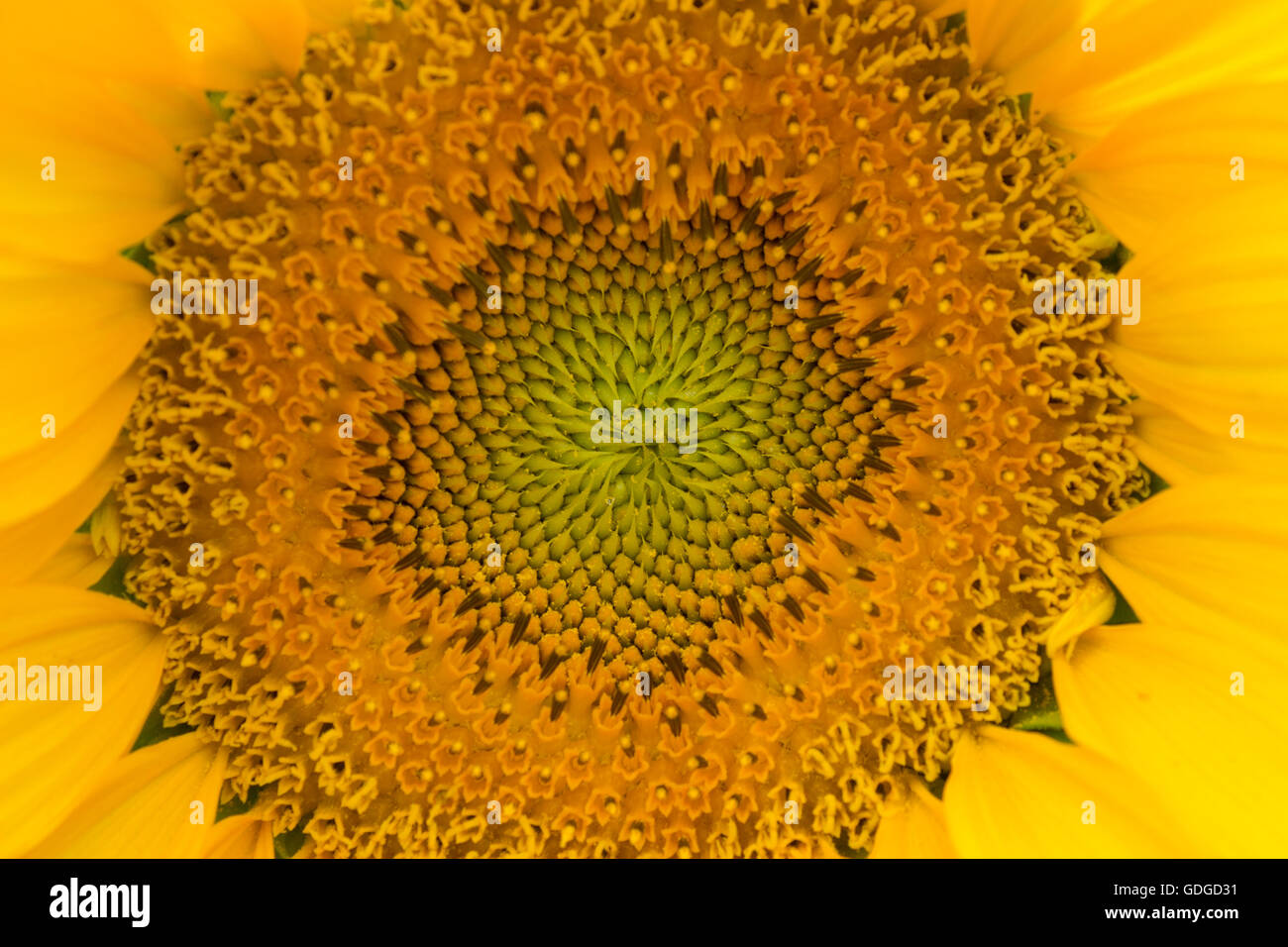 Full size patterns hi-res stock photography and images - Alamy