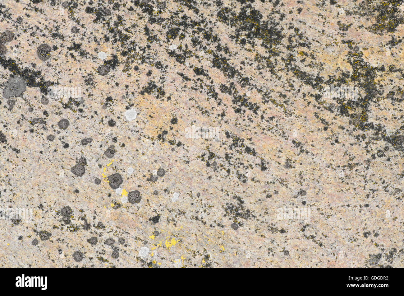 closeup to stone background texture Stock Photo - Alamy