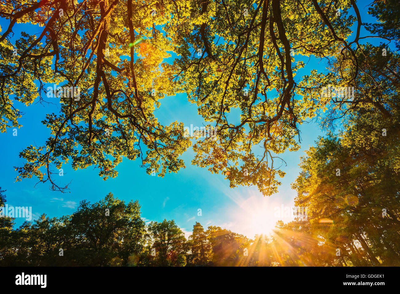 Lens flare effect hi-res stock photography and images - Alamy