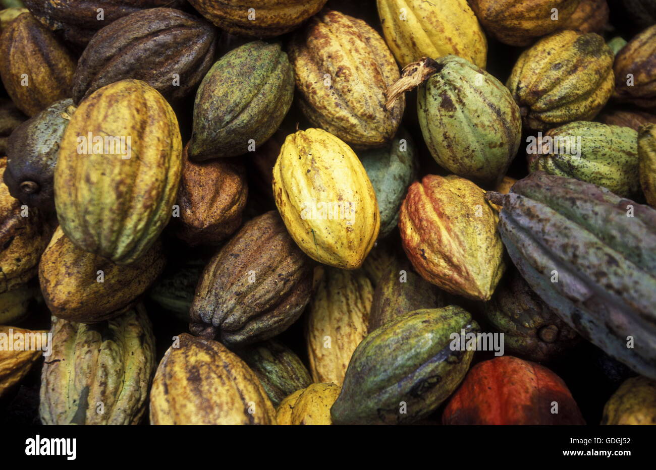 Baracoa chocolate village cuba hi-res stock photography and images - Alamy