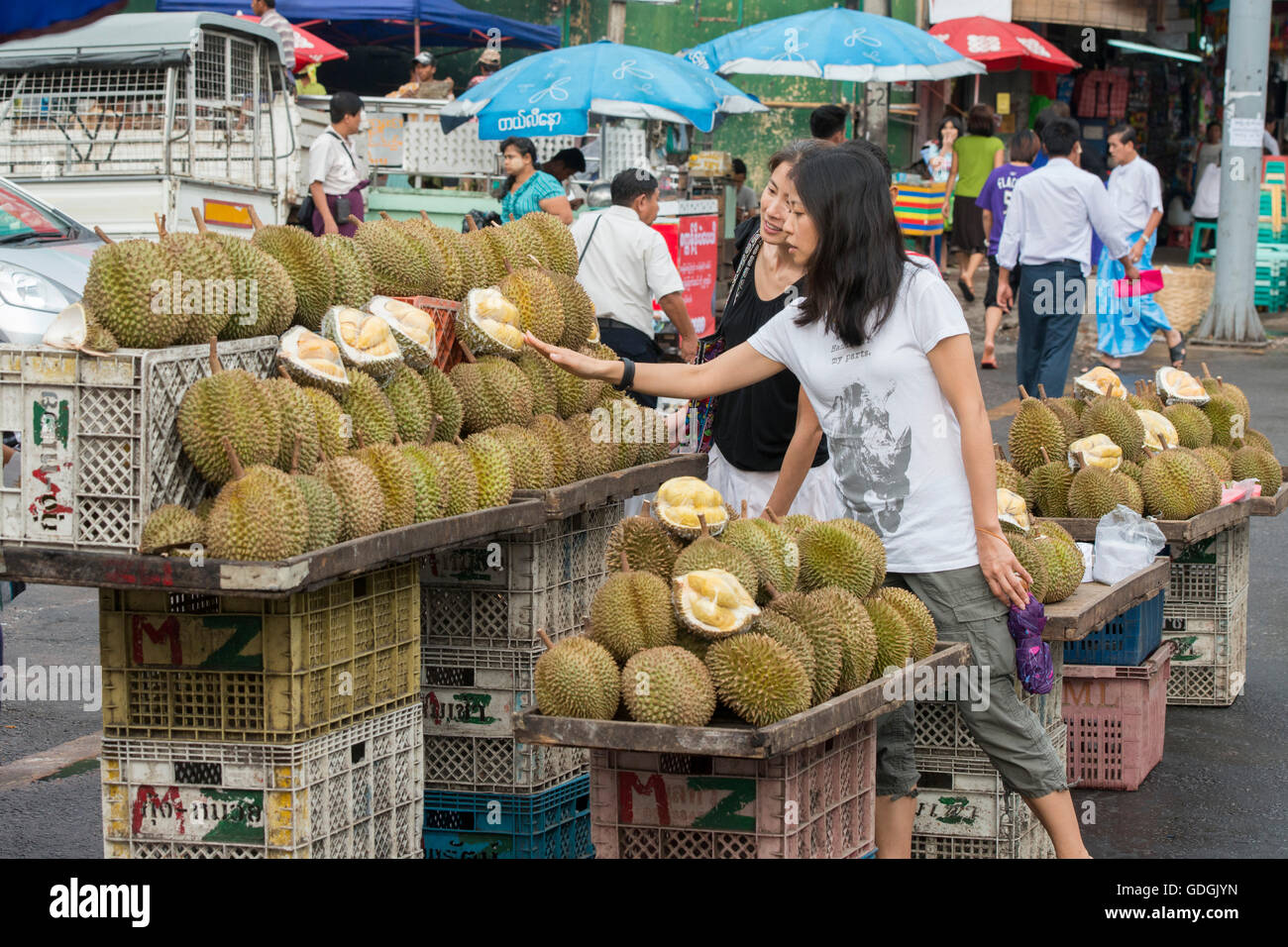 a durian fruit shop in a road in the china town in the City of Yangon in Myanmar in ...