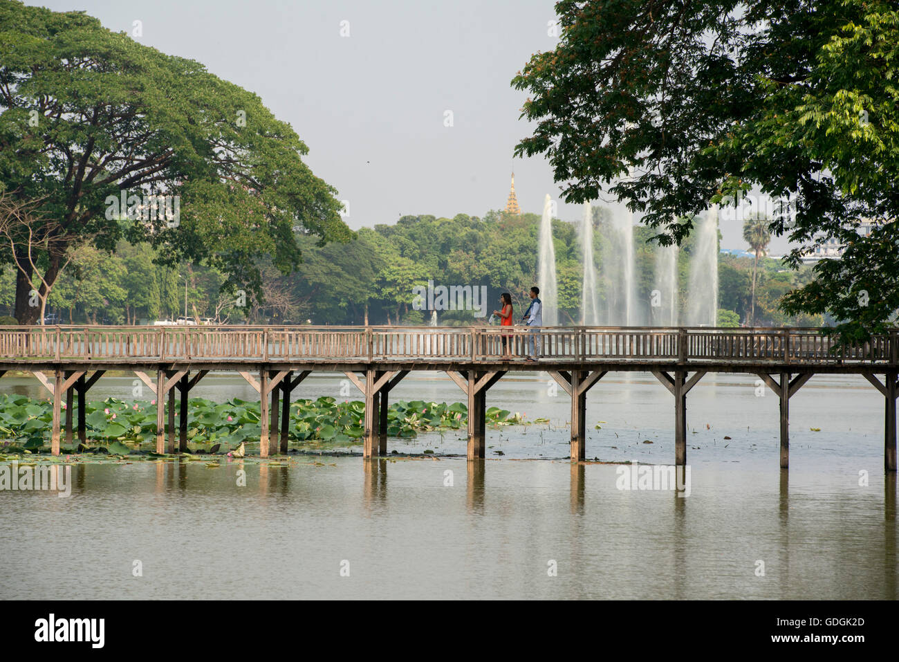 the Kandawgyi lake in the City of Yangon in Myanmar in Southeastasia ...